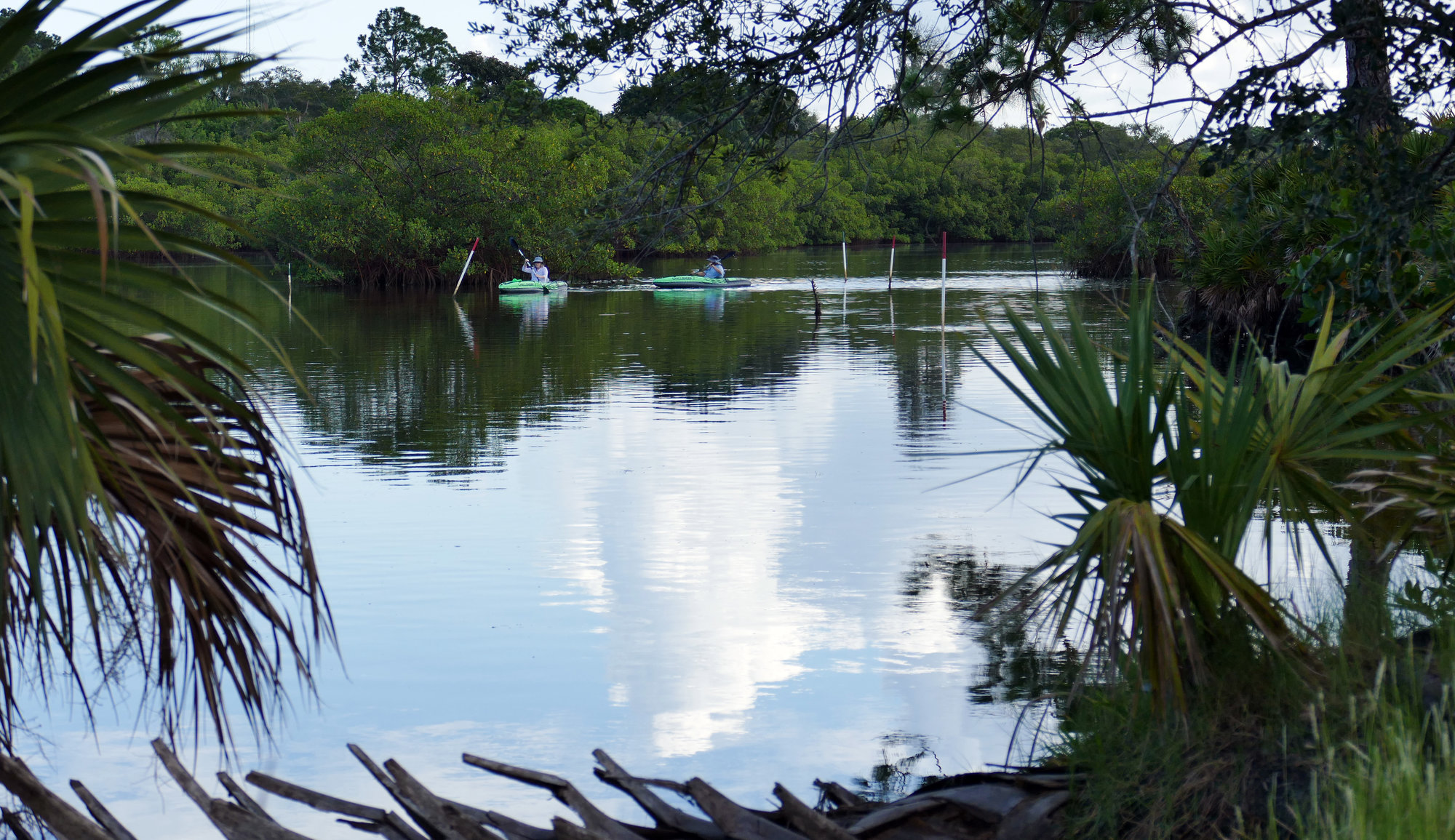 At Pasco County's Key Vista Park, the name says it all - What's What ...