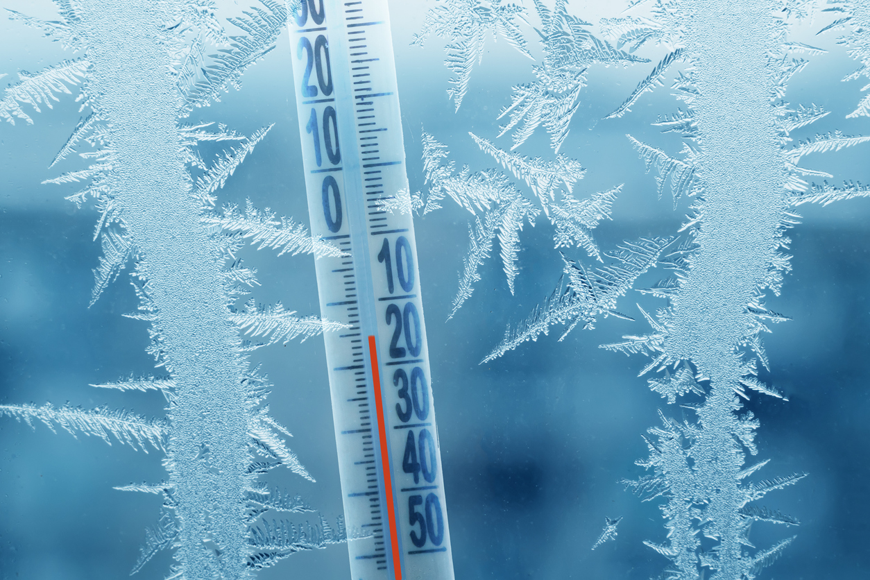 County News | Pasco to Open Cold Weather Shelters - What's What New ...