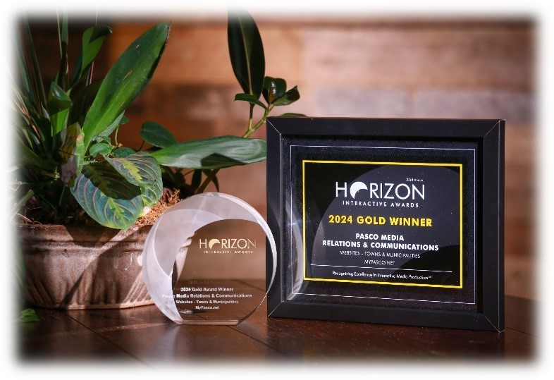 County News | MyPasco.net Wins Gold Interactive Web Award - What's What ...