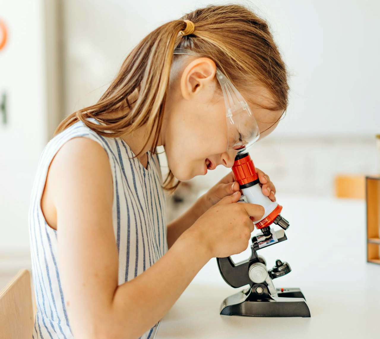 Education | Reminder - Open Enrollment for School Choice Closes on ...